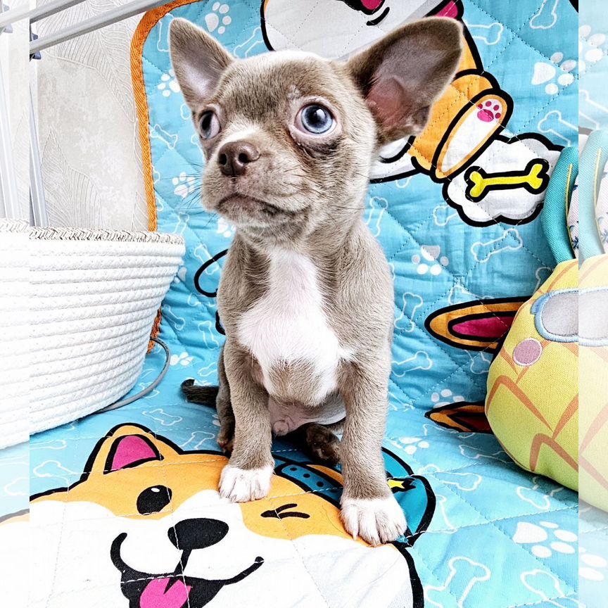 Один на миллион