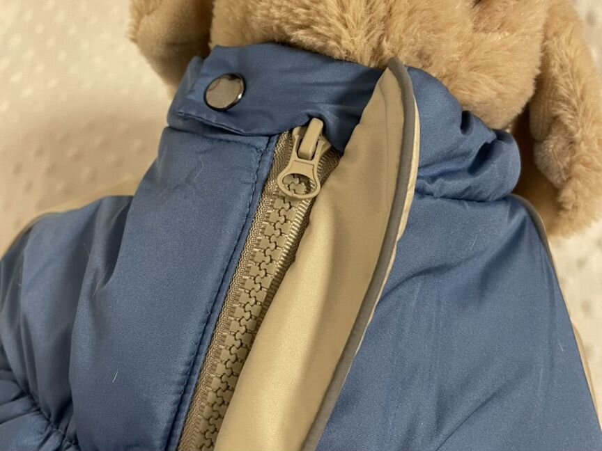 Новый зимний комбенизон для таксы