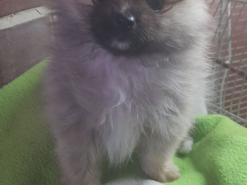 Очаровательная малышка