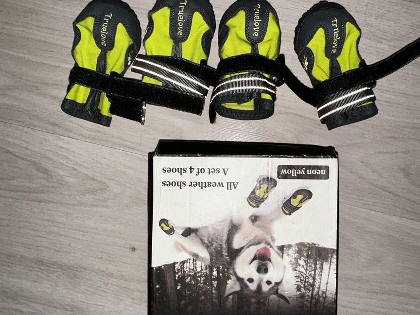 Ботинки для собак