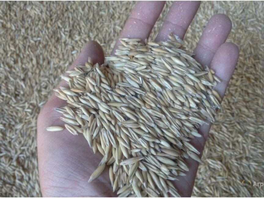 Продаю корма для животных