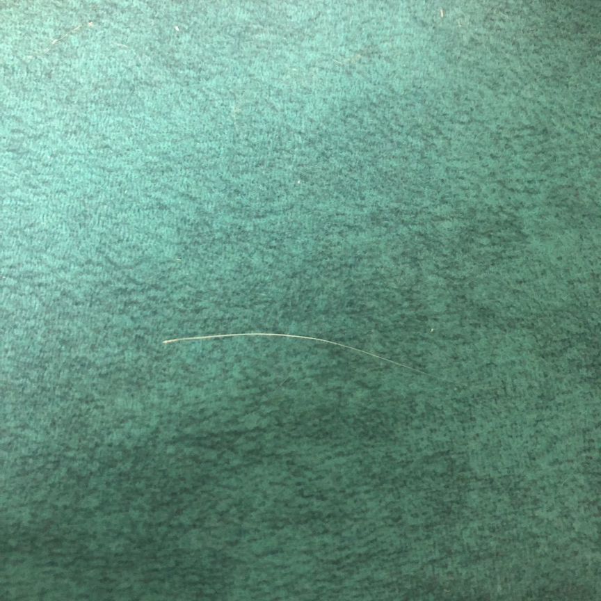 Кошачьи усы