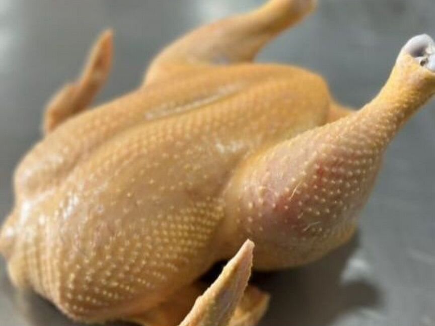 Куры бройлеры