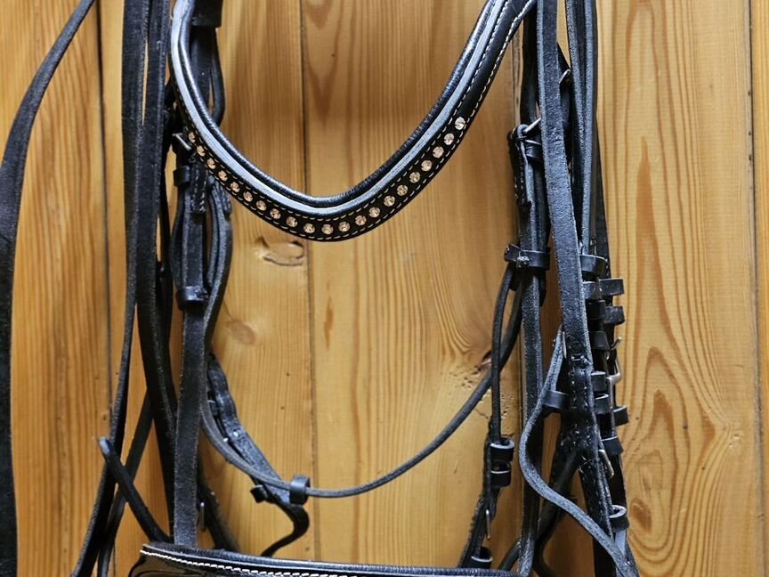 Уздечка, железо для лошади