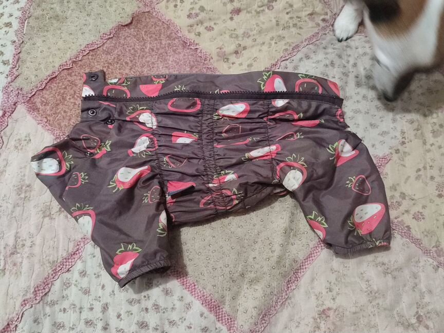 Дождевик для маленьких собак