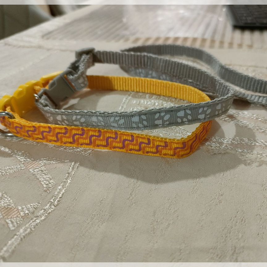 Ошейник для щенков и поводок