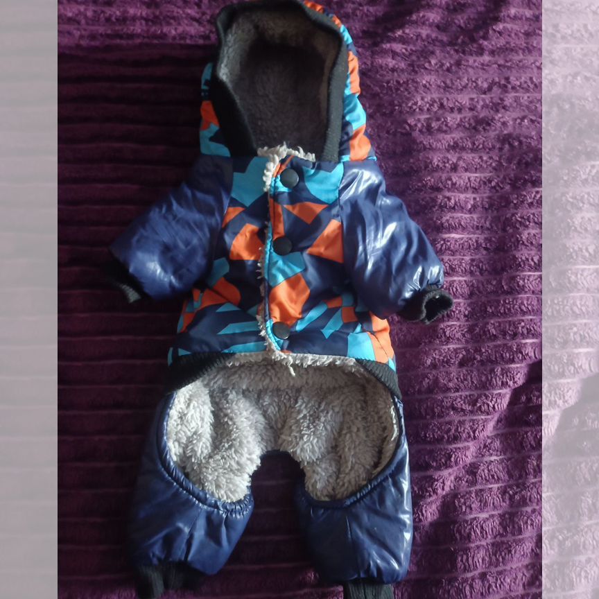 Одежда для собак