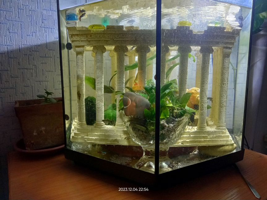 Аквариум 50 литров