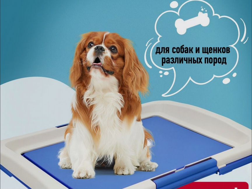 Лоток для собак под пеленку
