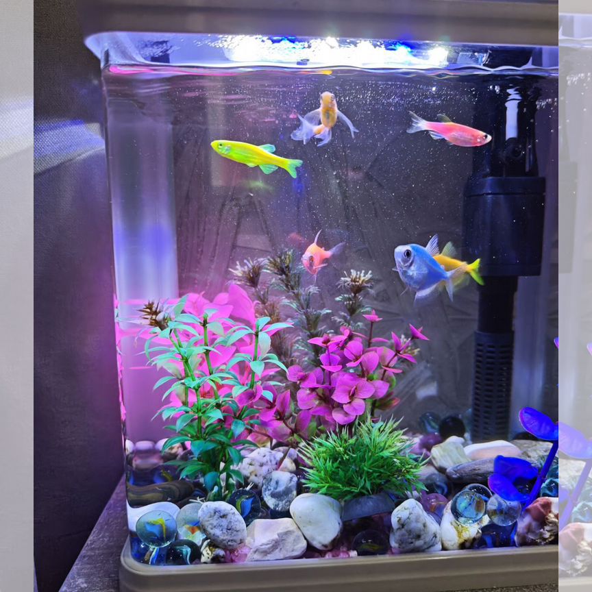 Аквариум с рыбками