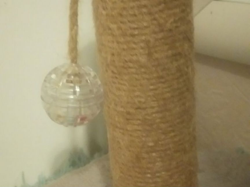 Когтеточка для котят