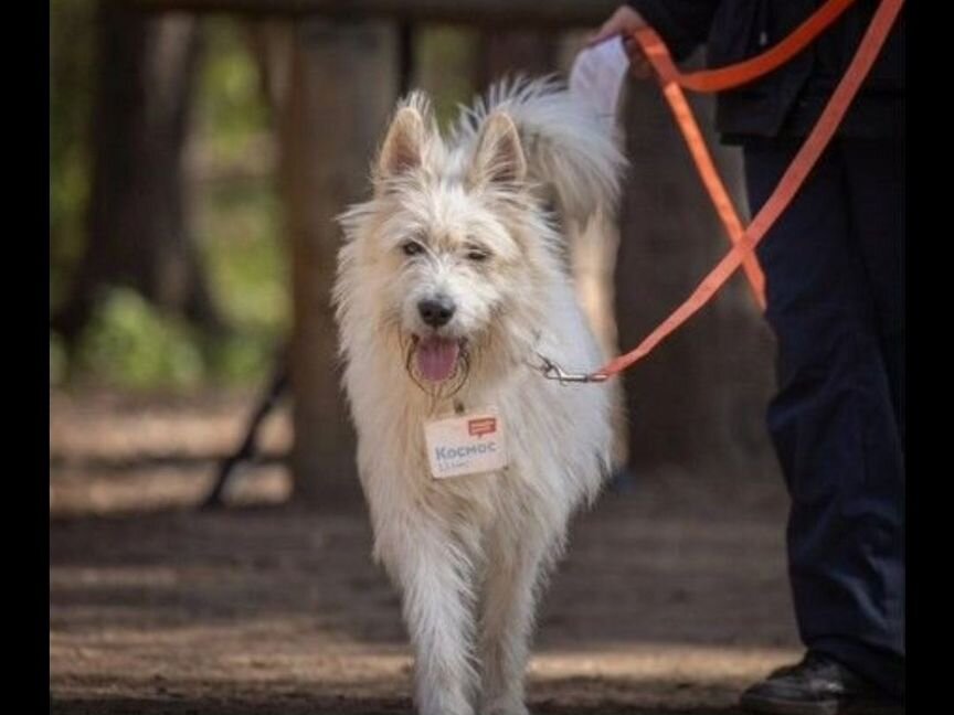 Семейный Космос, 10 мес