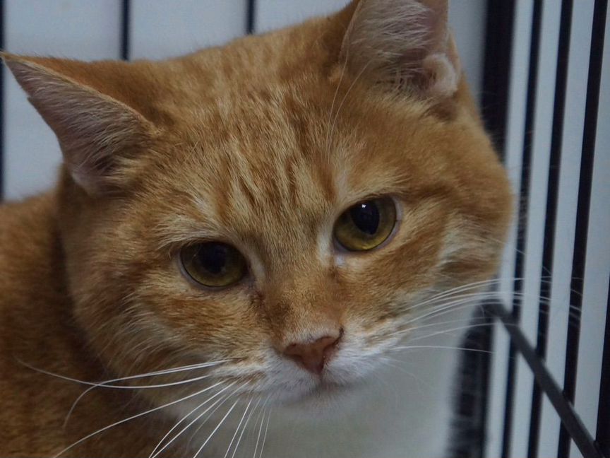 В ожидании семьи