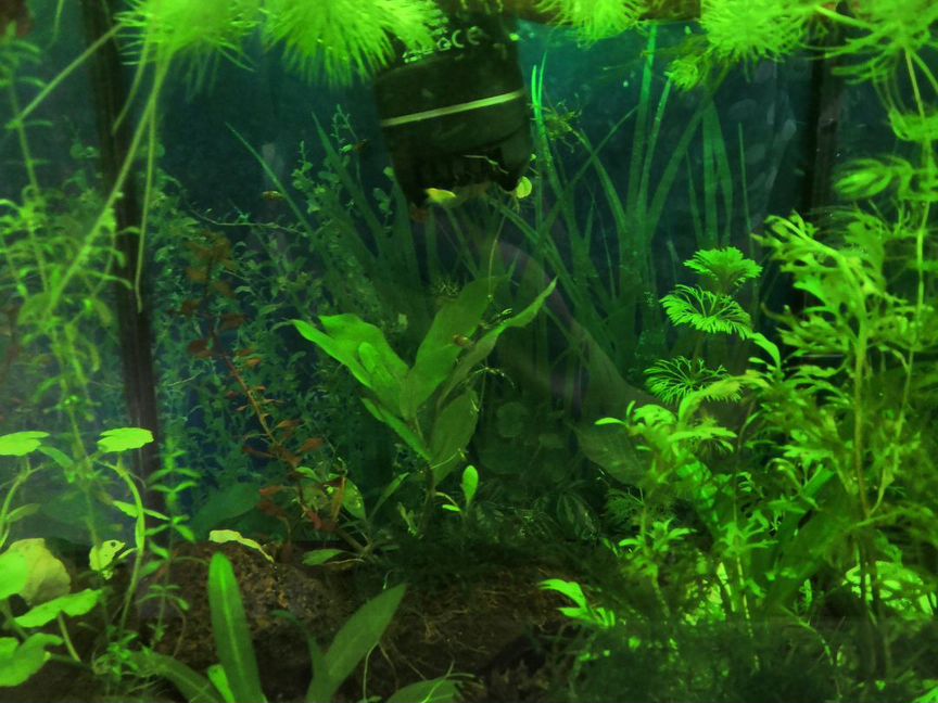 Грунт пропант для аквариума