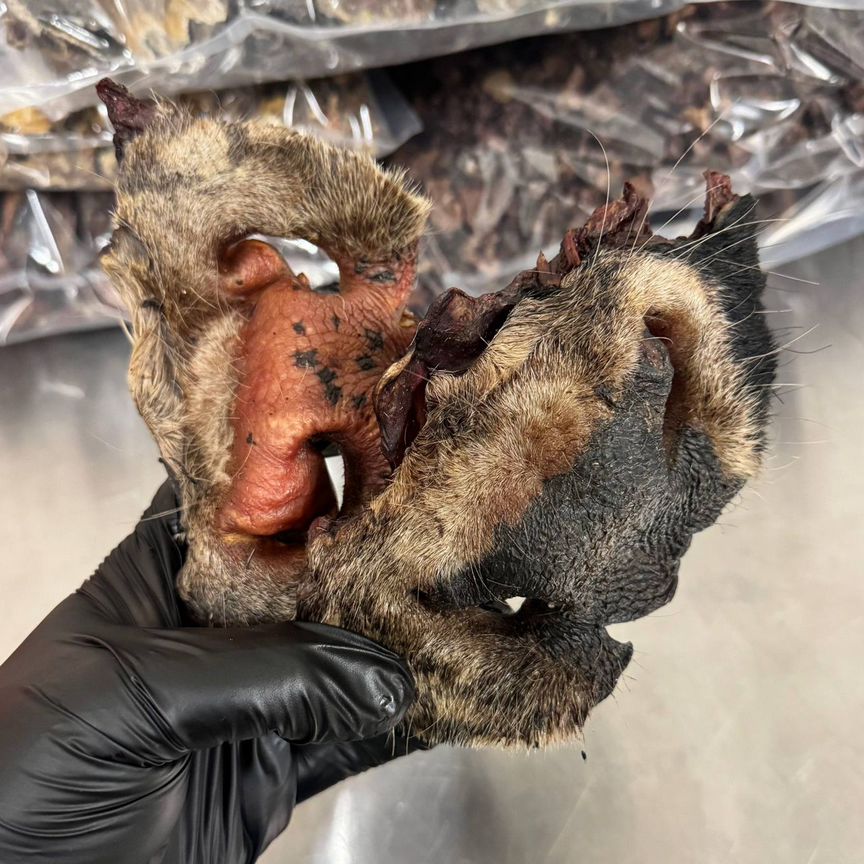 Говяжий губо-нос, лакомства для собак 500 гр