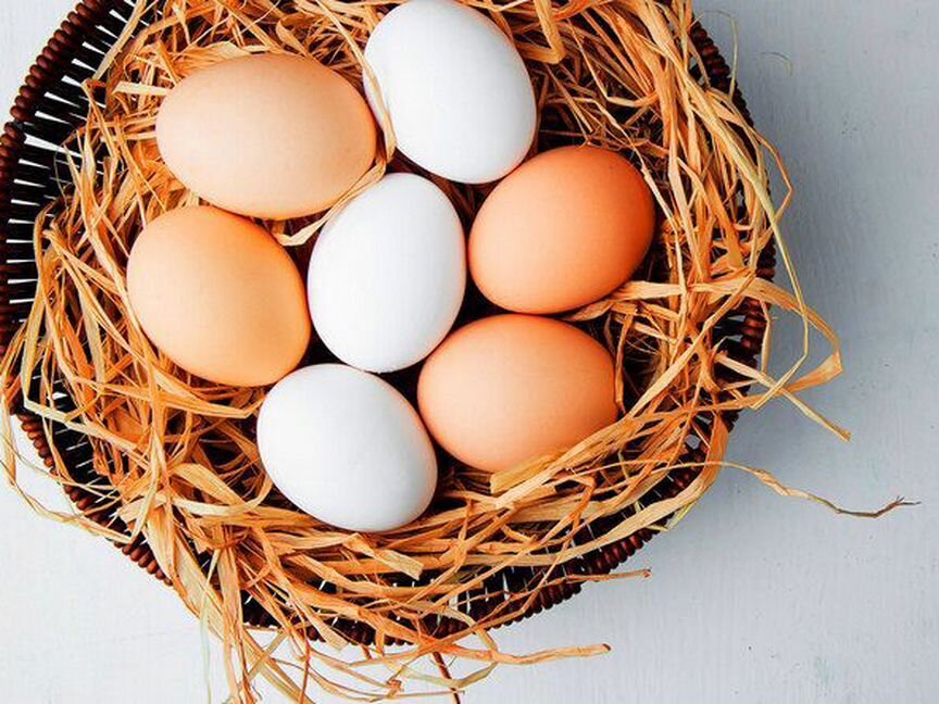 Домашние яйца Индоутки