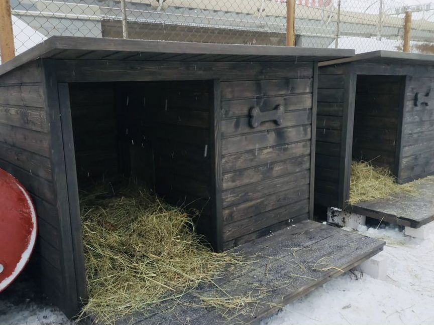 Будка для собаки утепленная с тамбуром