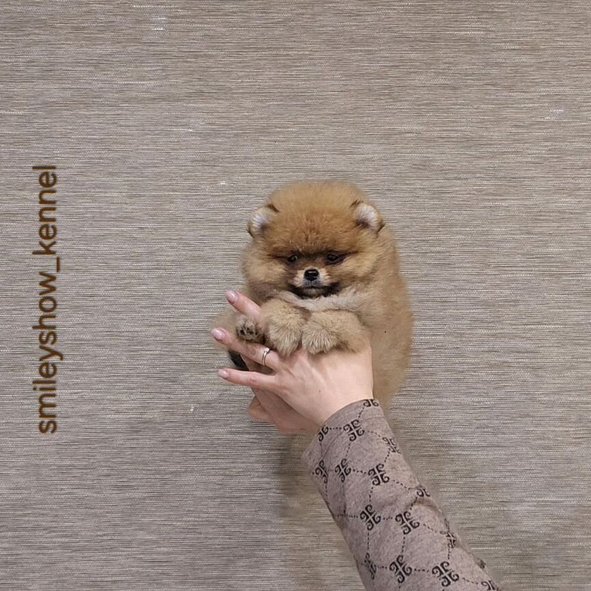 Маленькая куколка,мини принцесса. РКФ