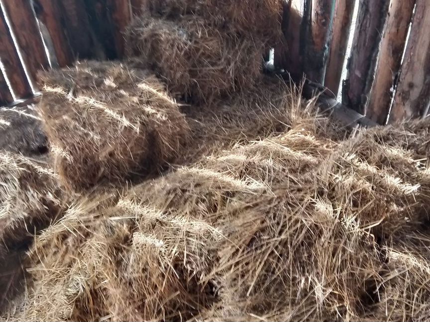 Сено в тюках