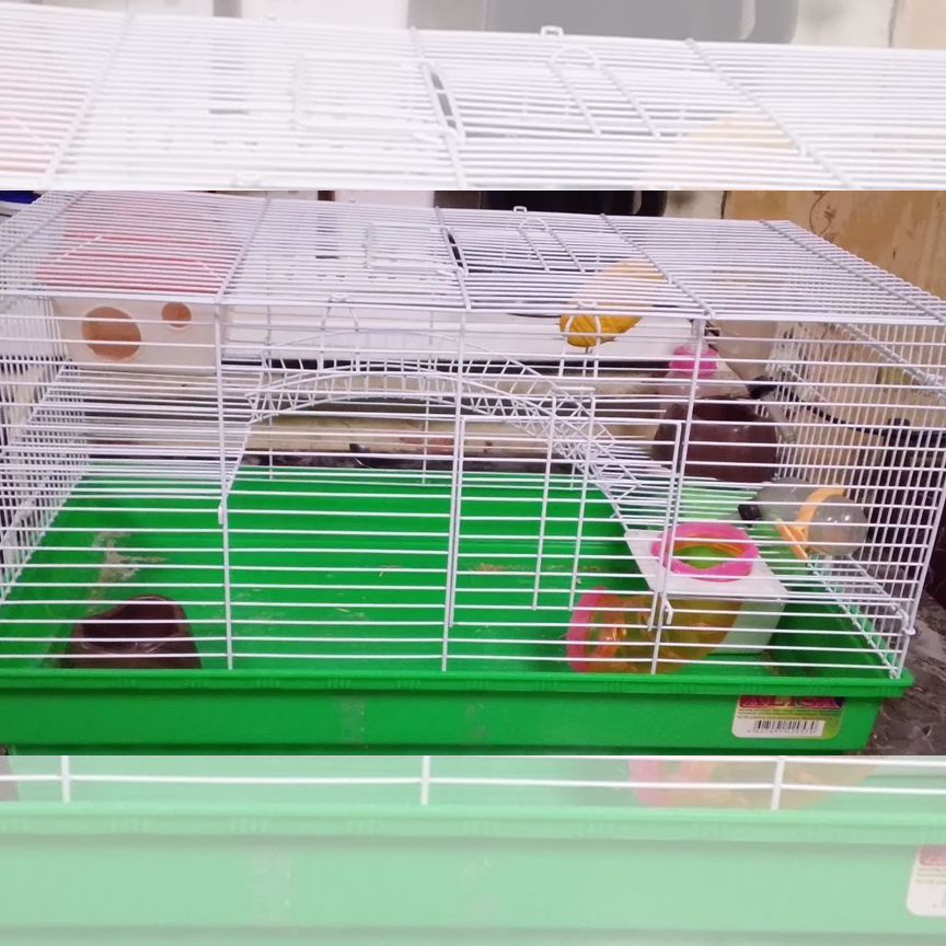 Клетка для грызунов большая