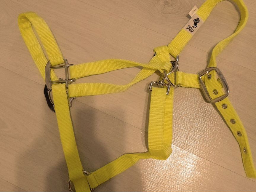 Недоуздок для лошади