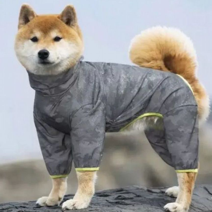 Комбинезон для собак средних пород