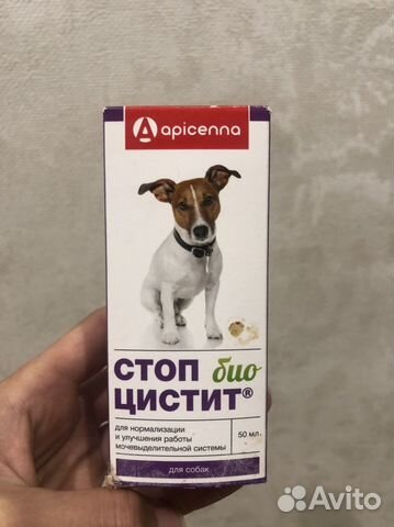 Домашние животные бесплатно