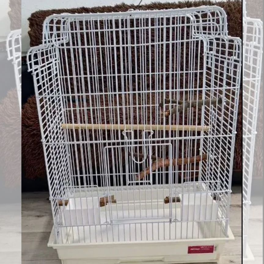 Попугай для попугая Petmax