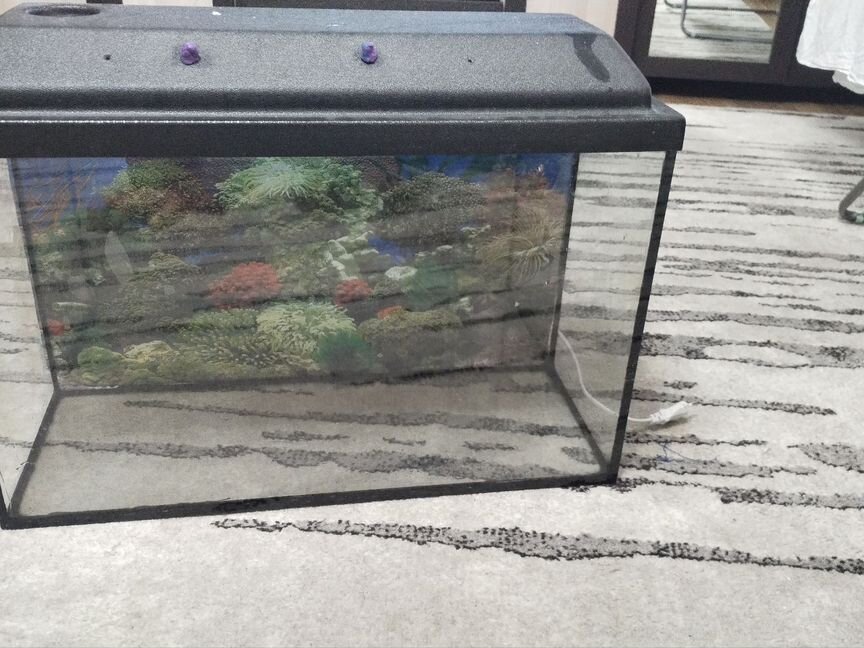 Аквариум террариум