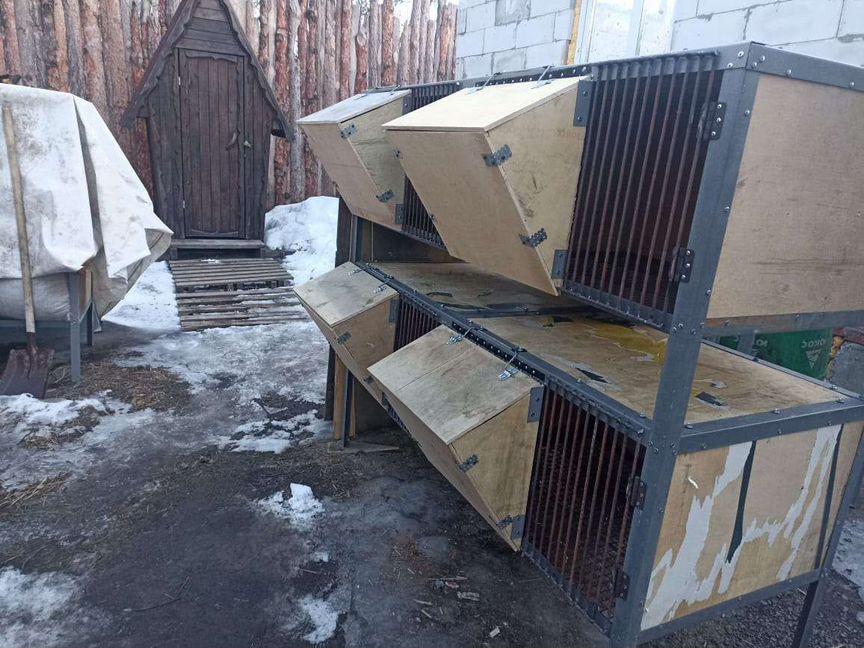 Промышленные клетки для кроликов