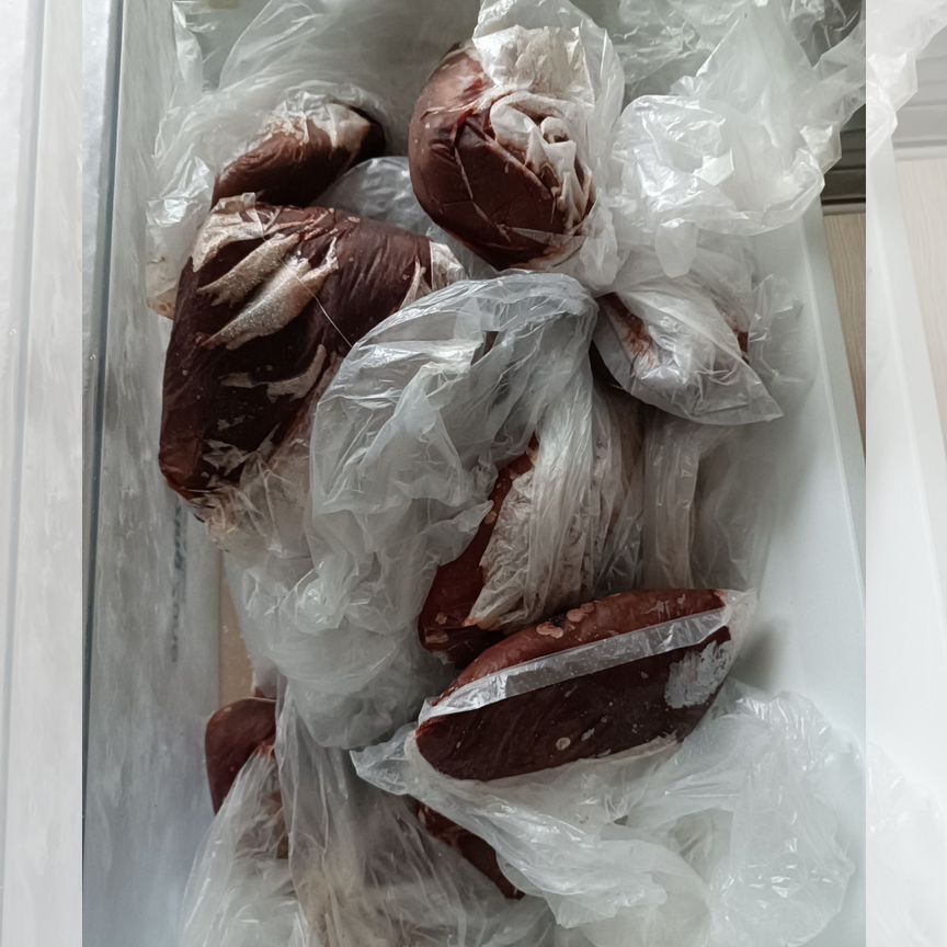 Почки свиные замороженные 4 кг