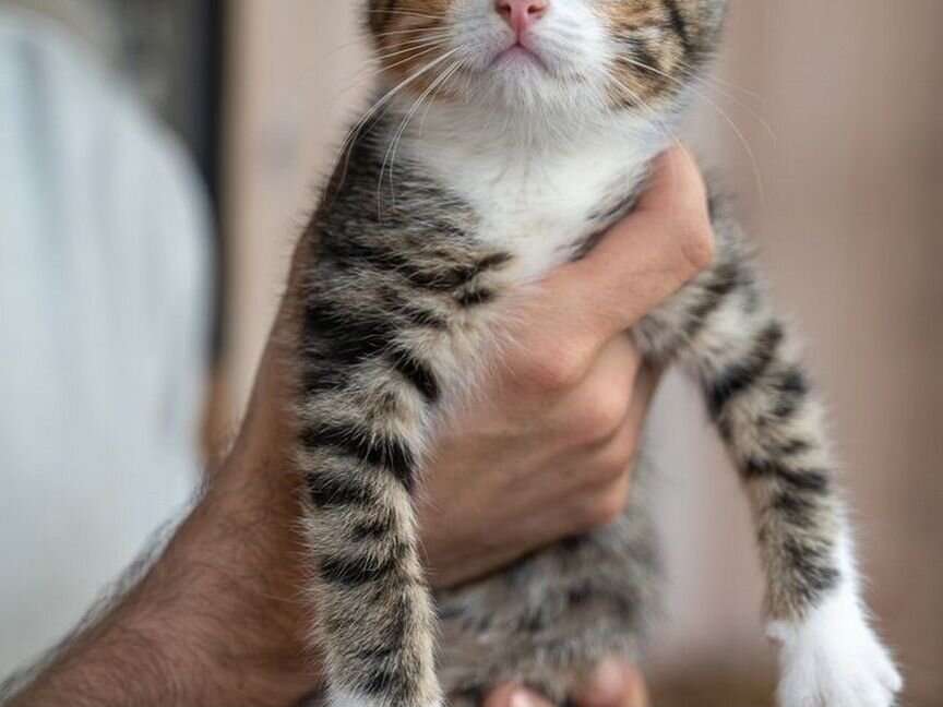 Смелая Джесси