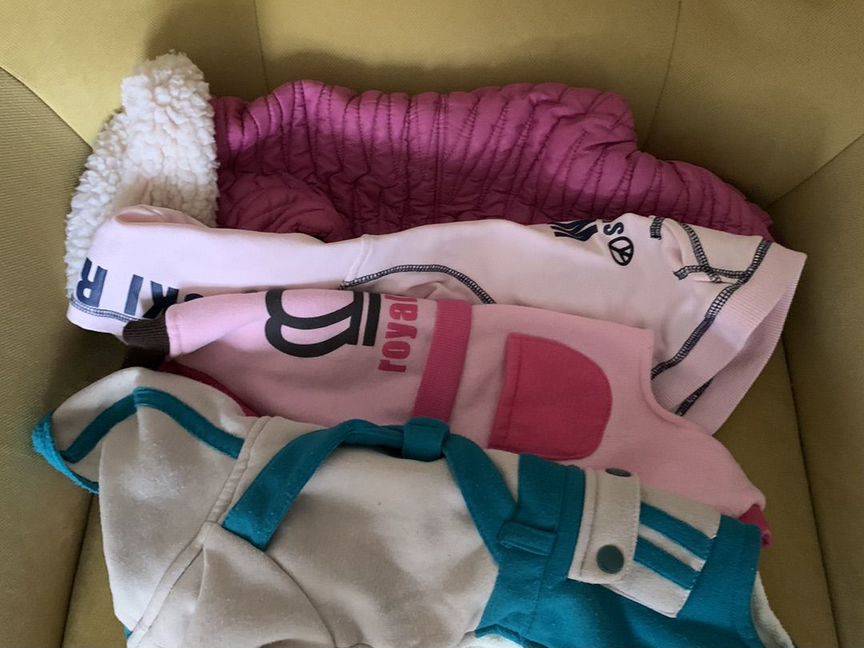 Одежда для собак М