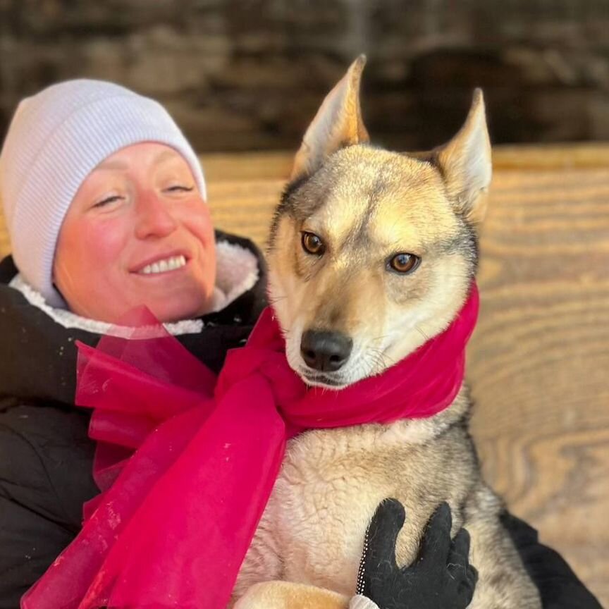 Взрослая собака в добрые руки