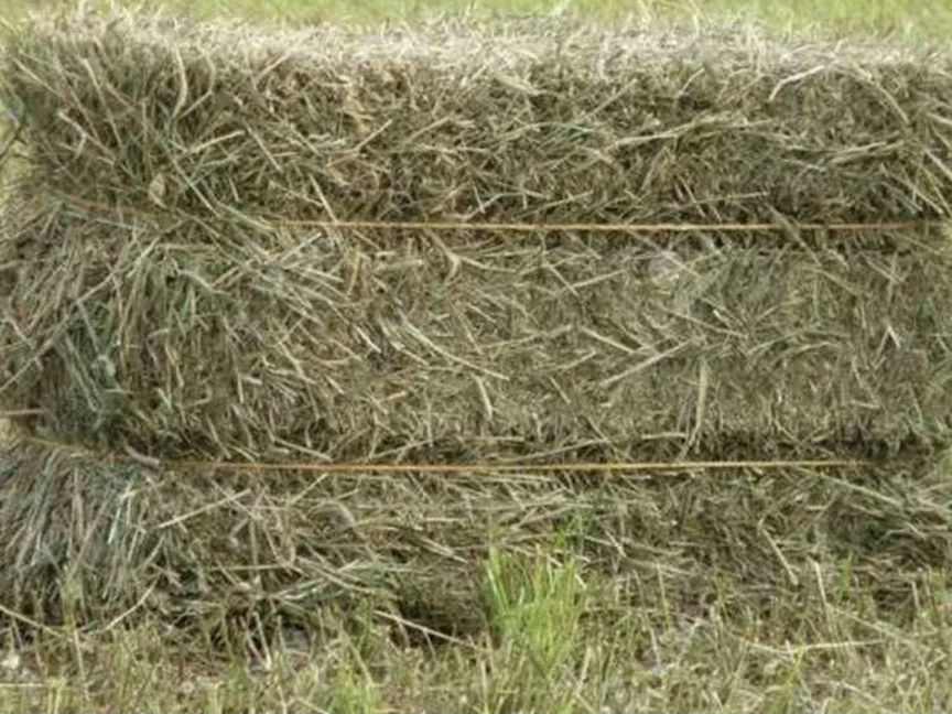 Сено в брикетах