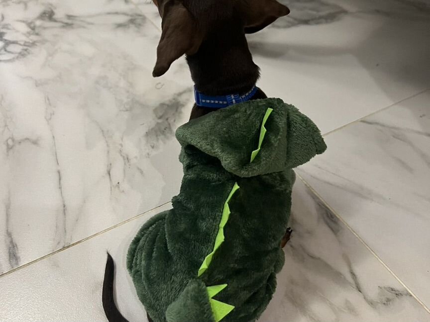 Костюм для собак мини