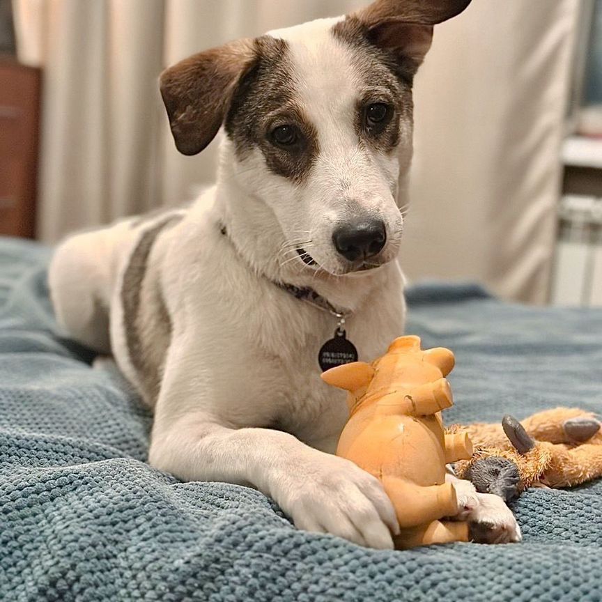 Чудесная девочка по имени Юна дом