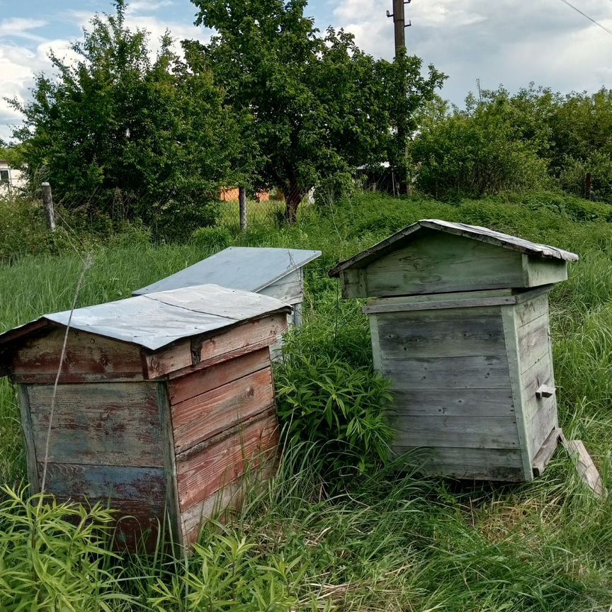 Ульи для пчел