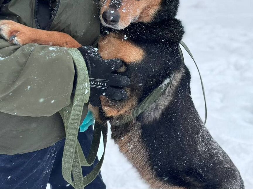Лучший психотерапевт Чарли