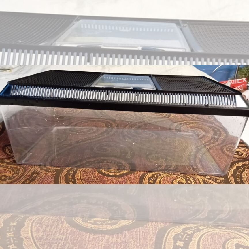 Террариум - контейнер для рептилий большой