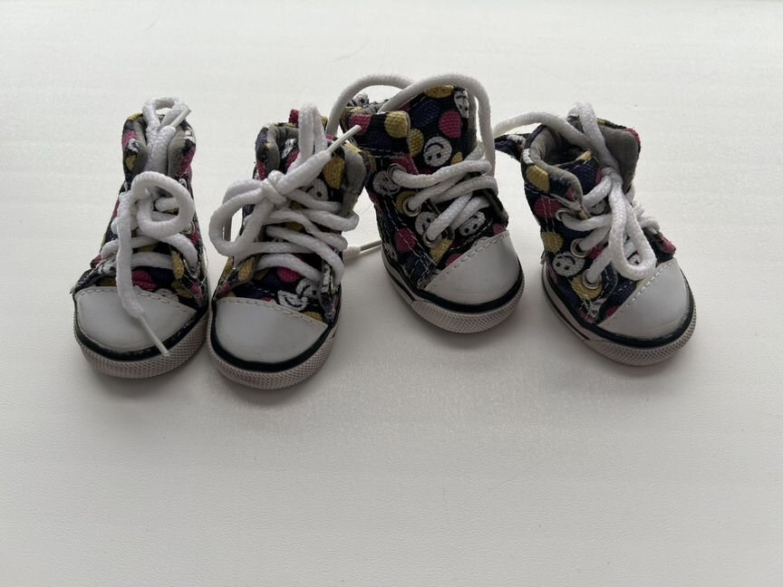 Кеды для собаки