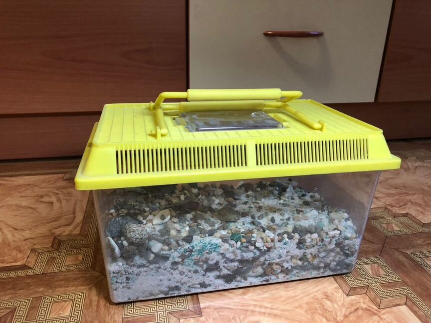 Переноска-террариум для мелких животных