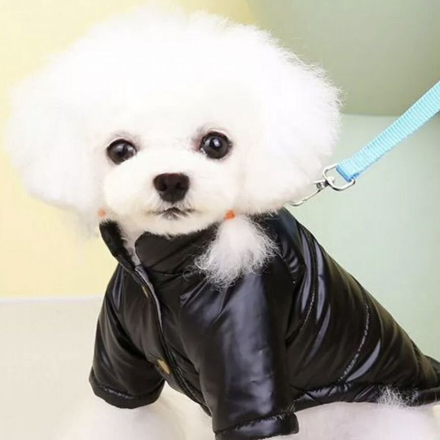 Зимняя куртка на собаку