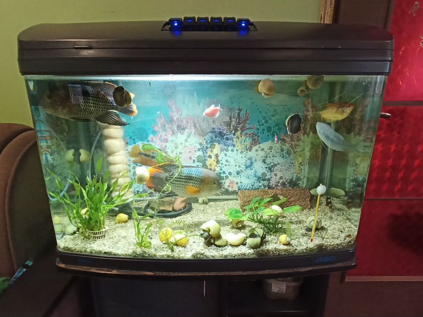 Аквариум jebo с тумбой