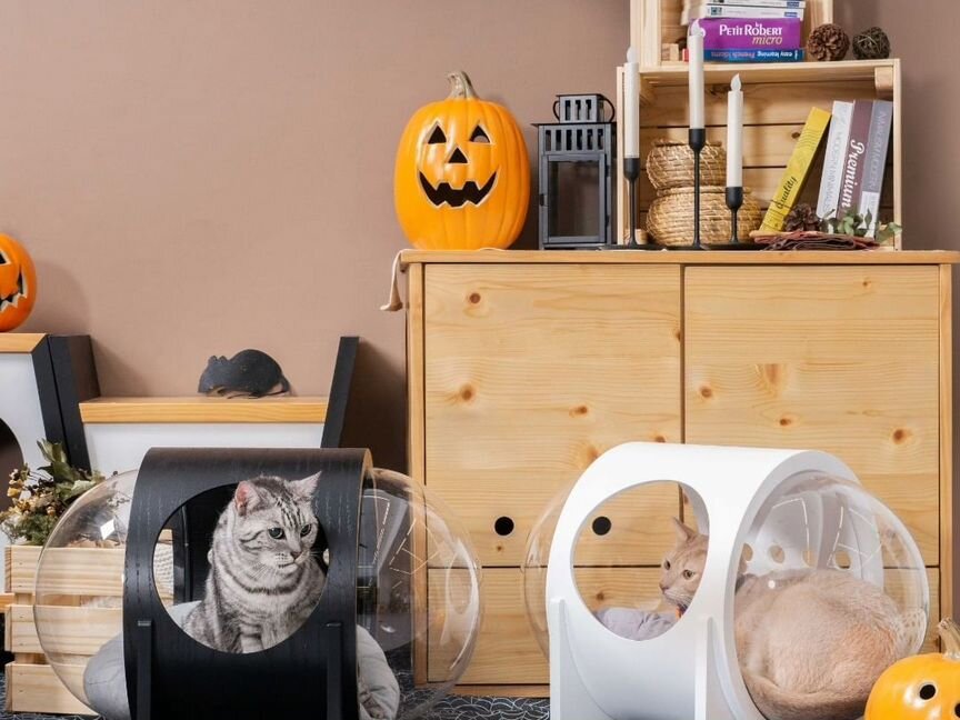 Домик для кошки (капсула, прозрачный)