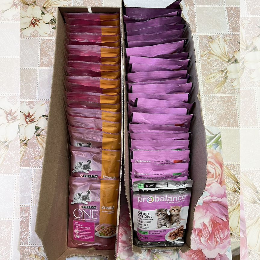 Корм для котят