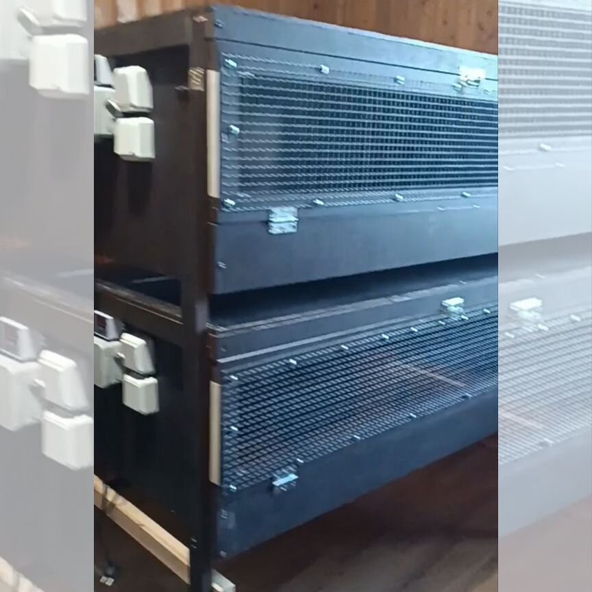 Брудер клетка для цыплят