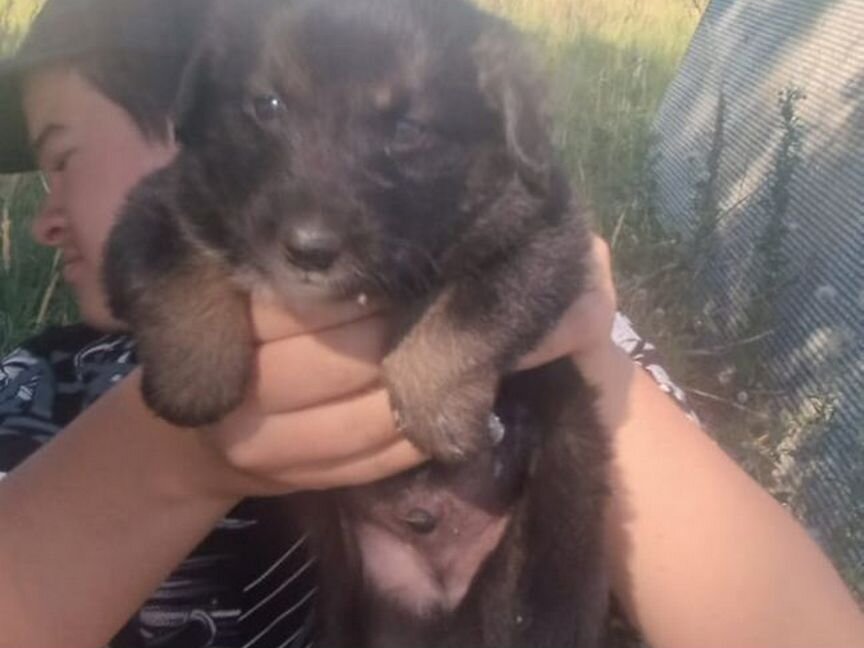 Джек ищет дом