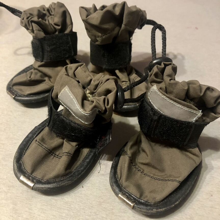 Ботинки для маленьких собак