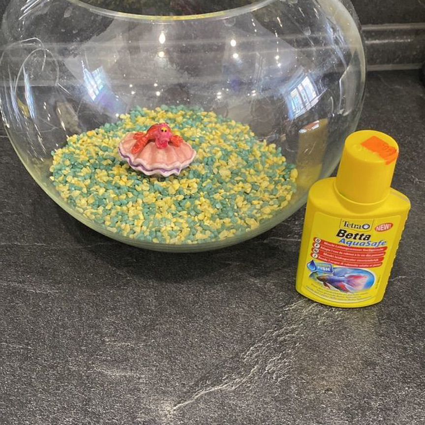 Аквариум круглый